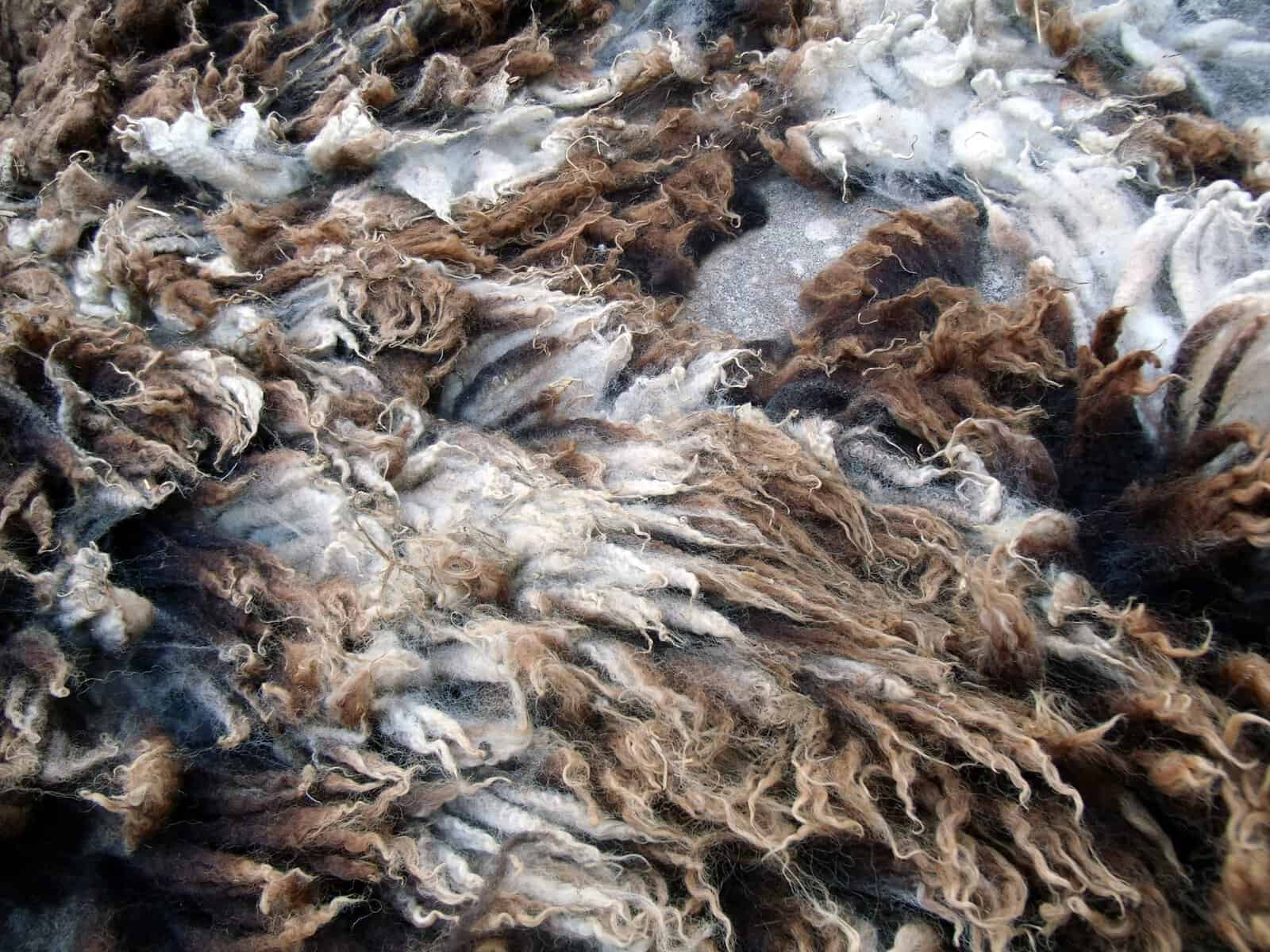 What is Sheep's wool used for? 53 Great Possibilities - Fiber Art by ...